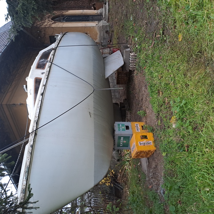 PRO BARCA - Vand velier Cobramold Leisure 20